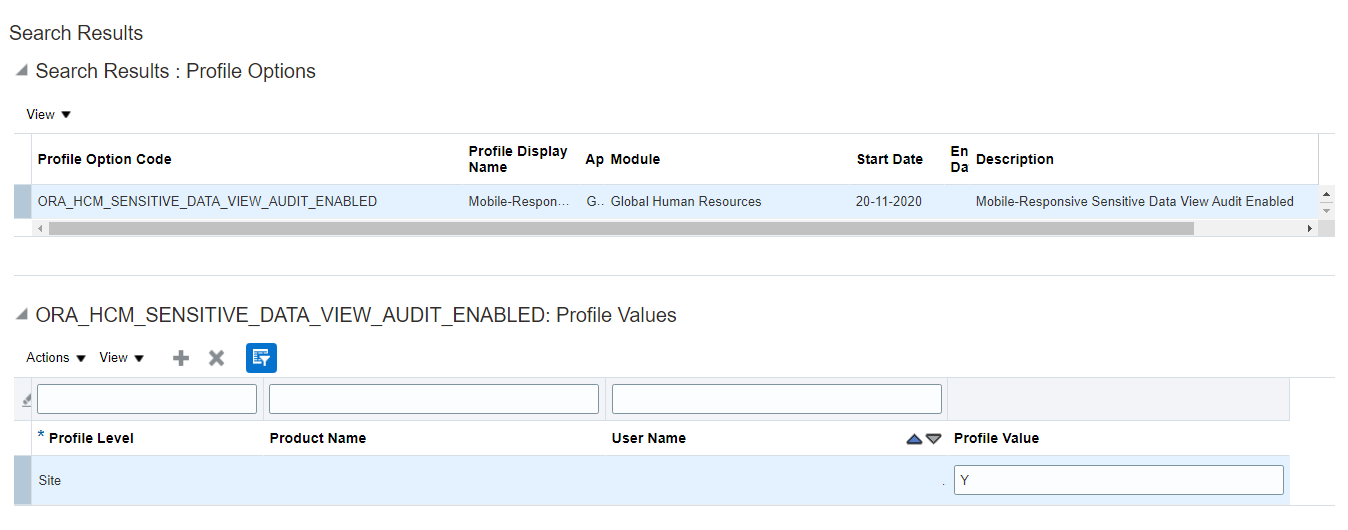 Sensitive Data Access Audit | Oracle HCM Cloud | 21B Release