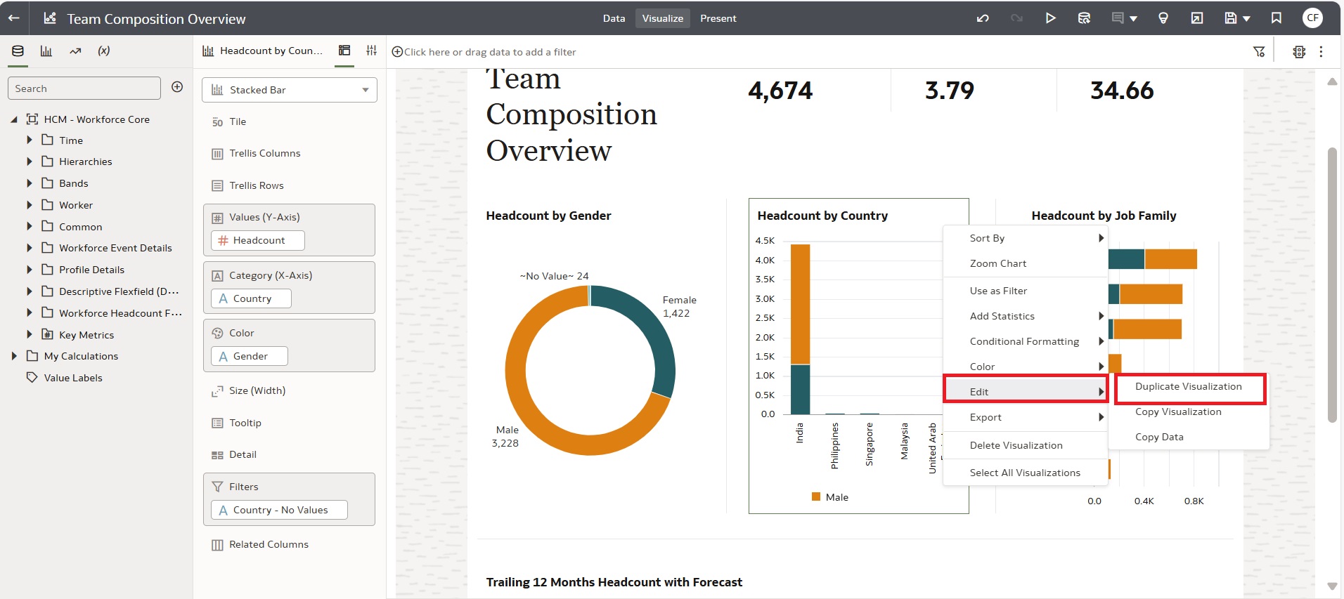 Insights into Graphical Representation in Oracle Data Intelligence